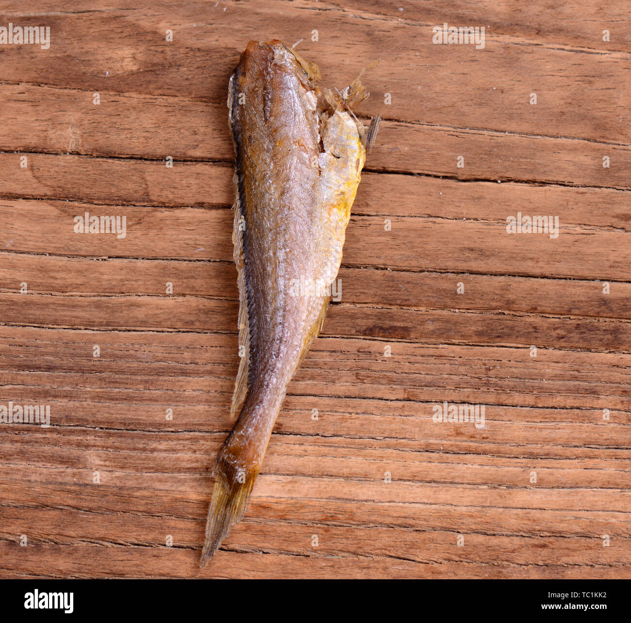 Konjac tree hi-res stock photography and images - Alamy