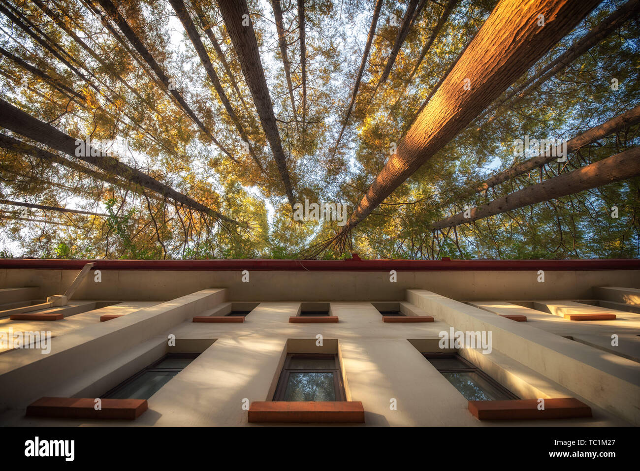 East china normal university hi-res stock photography and images - Alamy