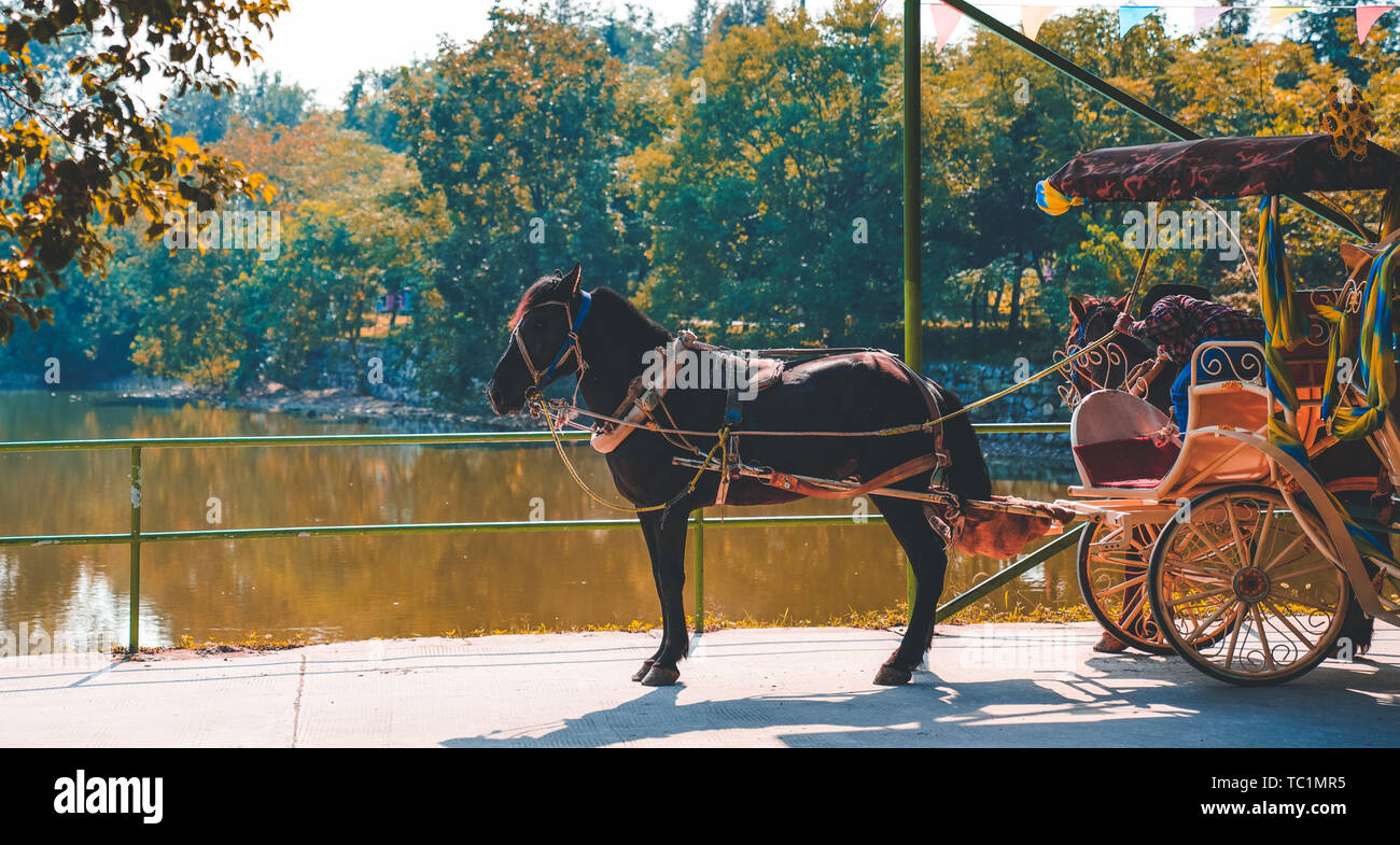 Rotating carriage hi-res stock photography and images - Alamy