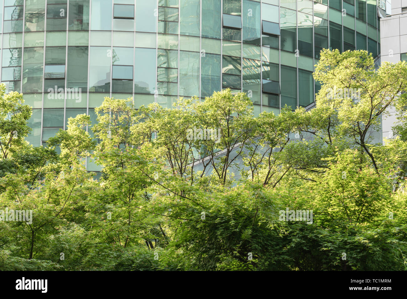 Sunny day downtown cityscape, business background Stock Photo - Alamy