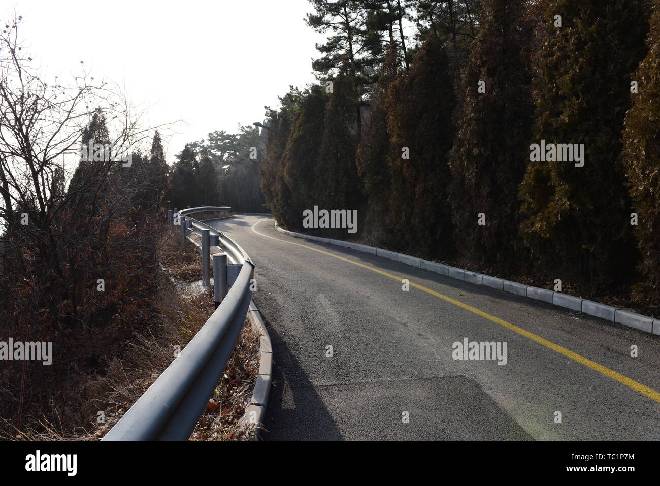 Roadline no one trees trees expressway guide hi-res stock photography ...