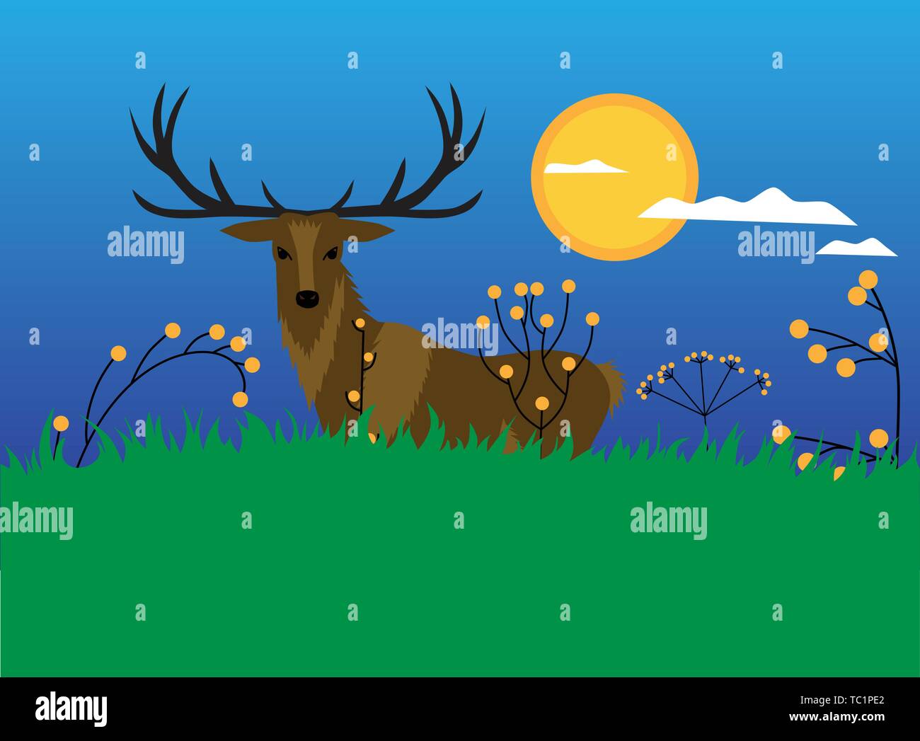 Deer in meadow illustration Stock Vector Images - Alamy