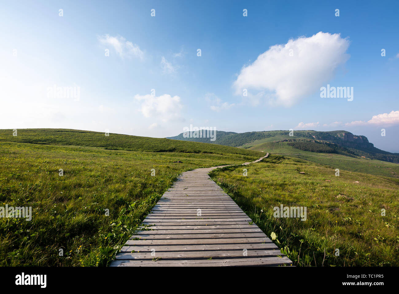 Scenic dry grassland farms hi-res stock photography and images - Alamy