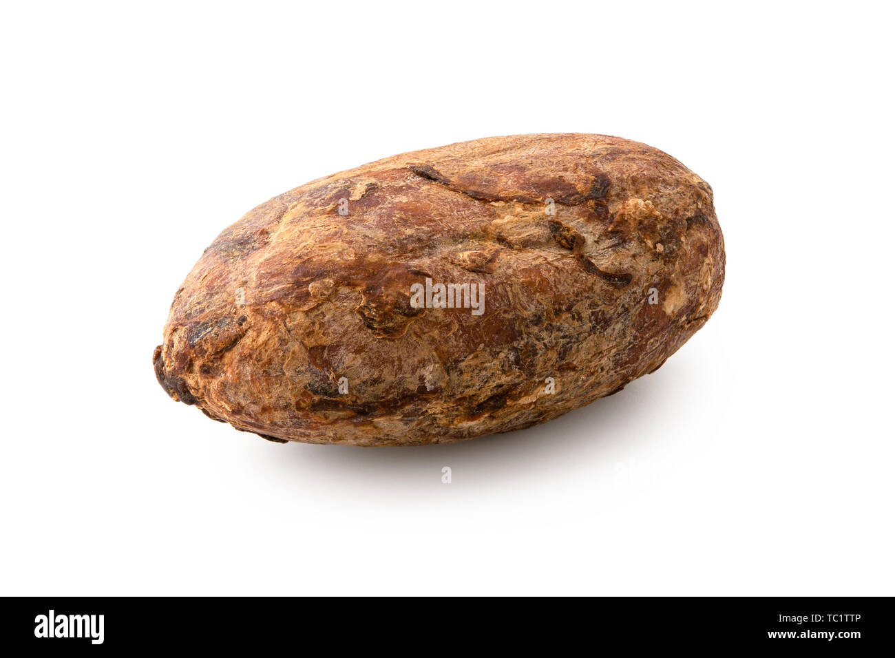 Single roasted unpeeled cocoa bean isolated on white Stock Photo - Alamy