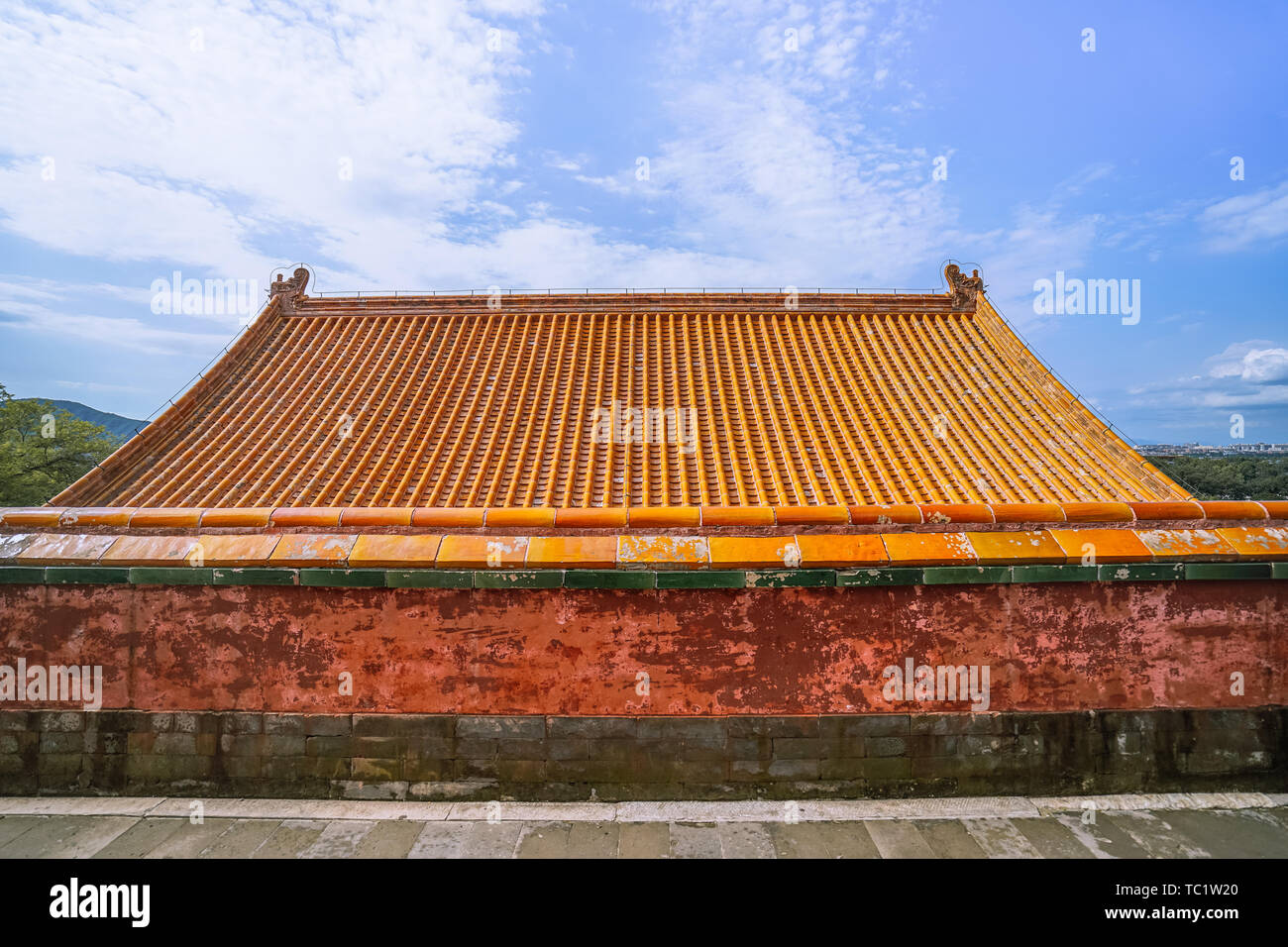 Spectacular royal palace roof close-up Stock Photo - Alamy
