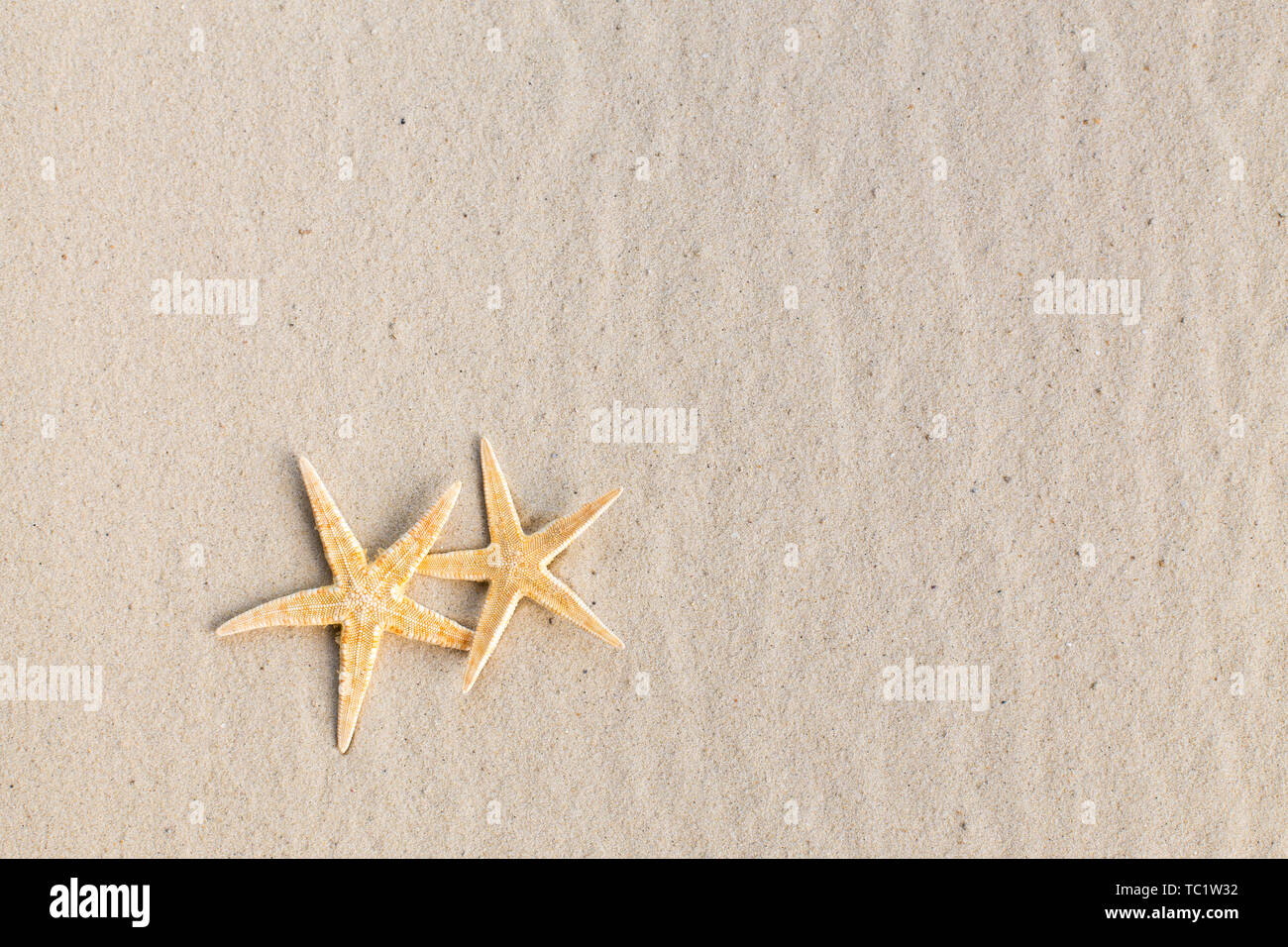 a sea star on the beach Stock Photo - Alamy