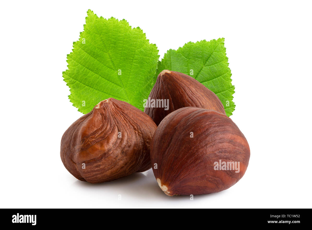 Three hazelnuts with skin and leaves isolated on white. Closeup Stock ...