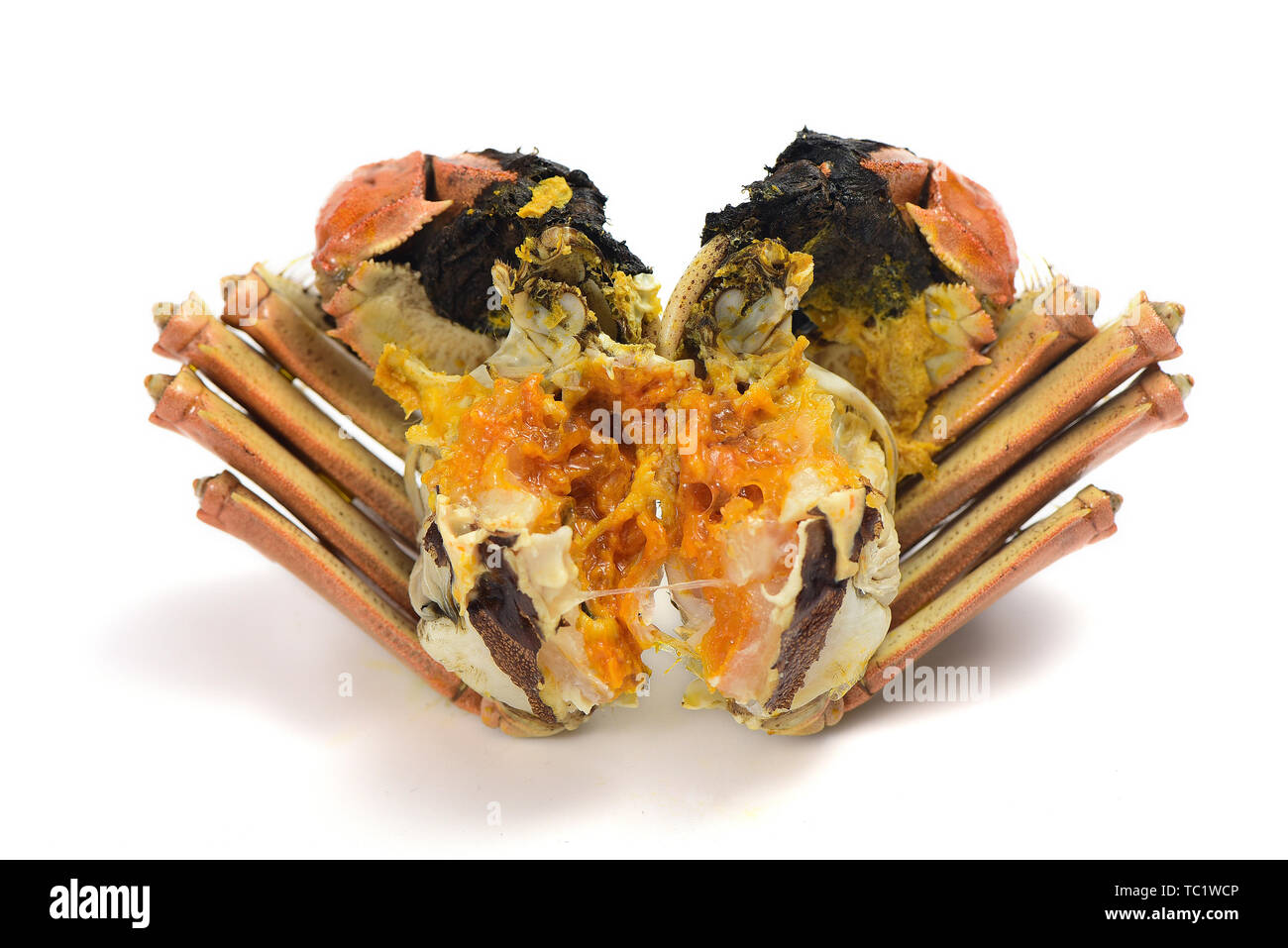 Fat crab Cut Out Stock Images & Pictures - Alamy
