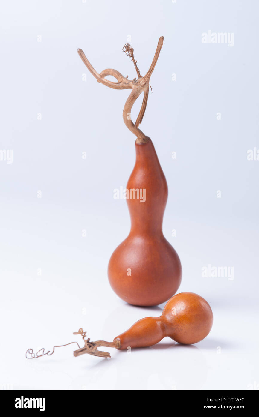 Hand twist gourd hi-res stock photography and images - Alamy