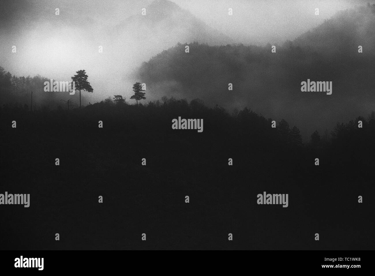 Mountain shadow, mist trees Stock Photo - Alamy