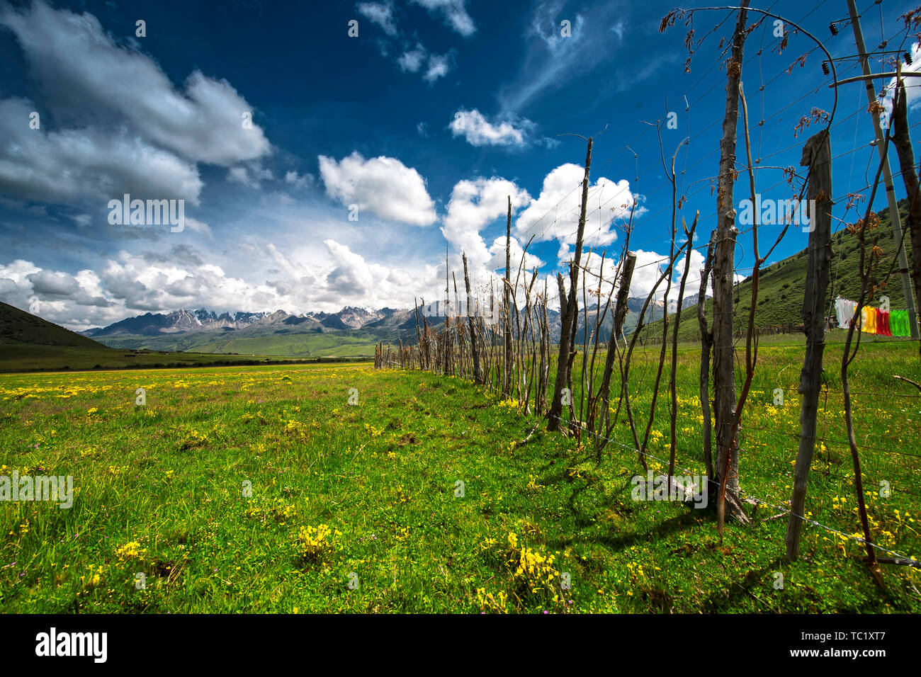 Go quickly hi-res stock photography and images - Alamy