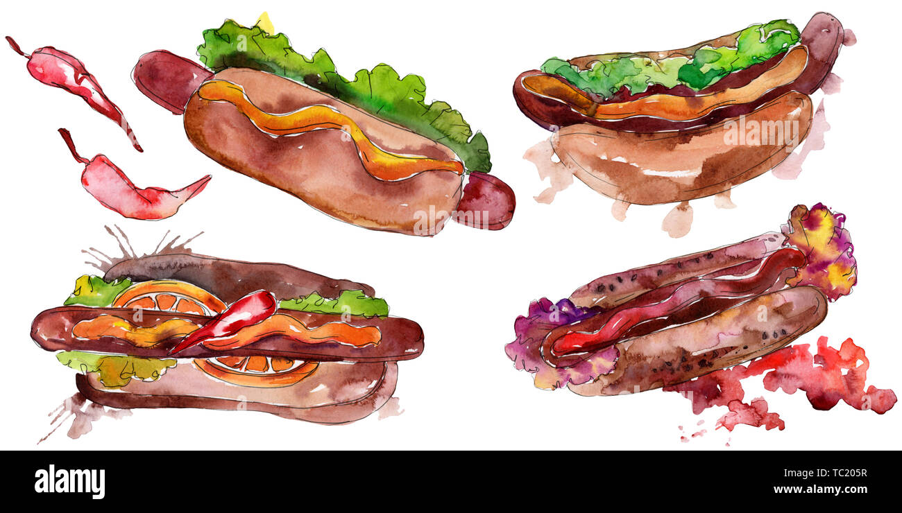 Hot dog fast food tasty food. Watercolor background illustration set ...