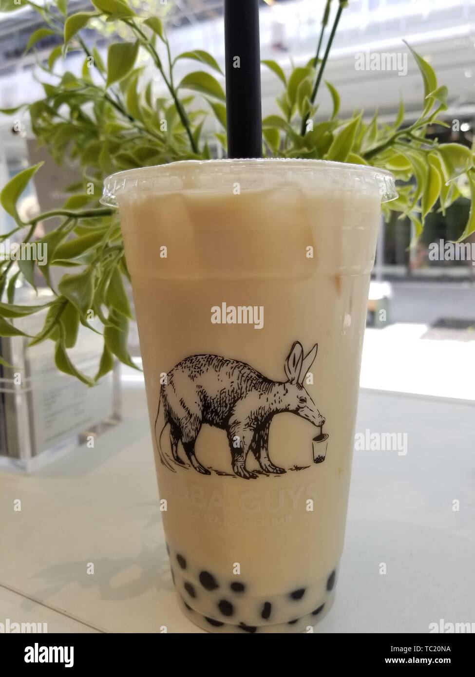 Boba guys hi-res stock photography and images - Alamy