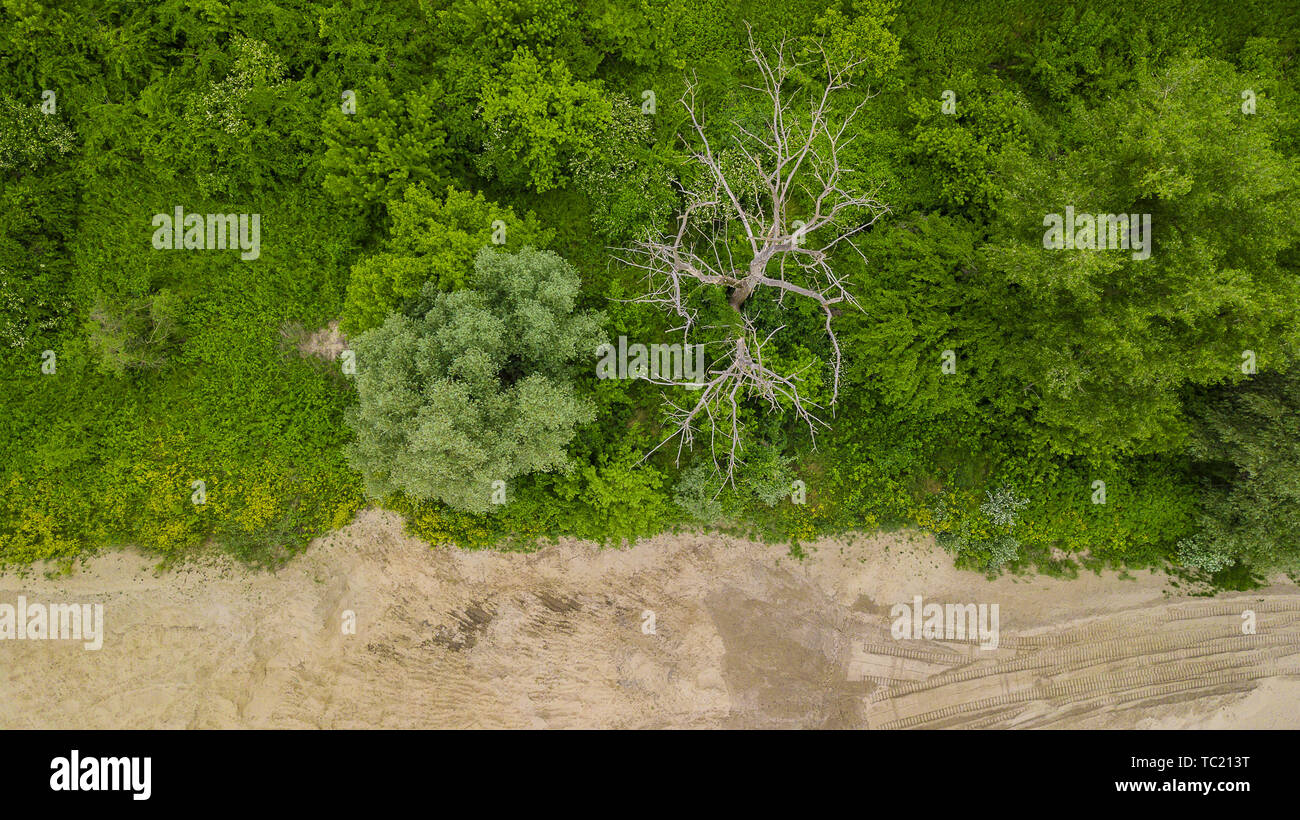 Aerial top down view of foliage trees background Stock Photo - Alamy