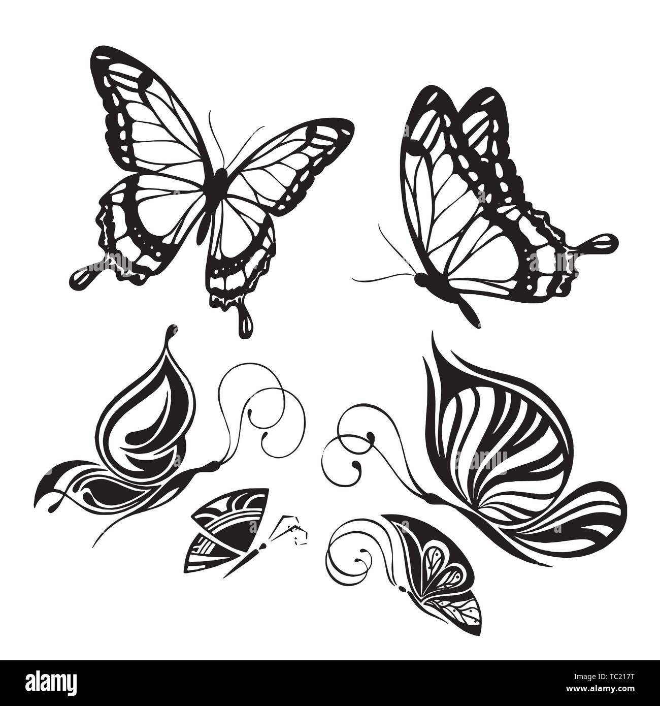 insect butterfly outline vector. nature coloring book insect butterfly ...