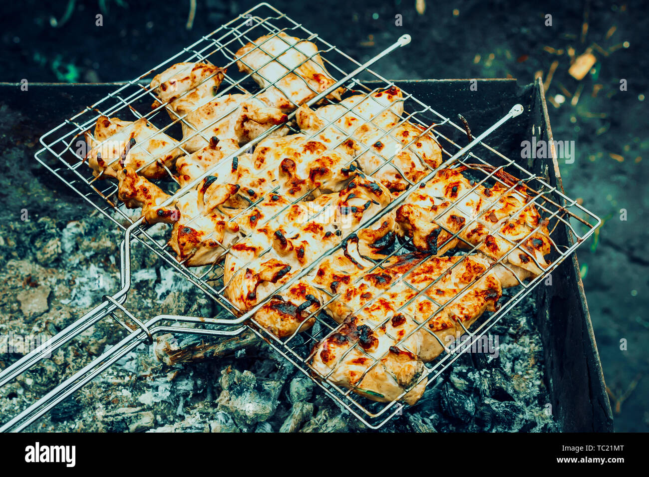 Cooking meat on fire. Fry meat on metal grid. Barbecue on nature for ...