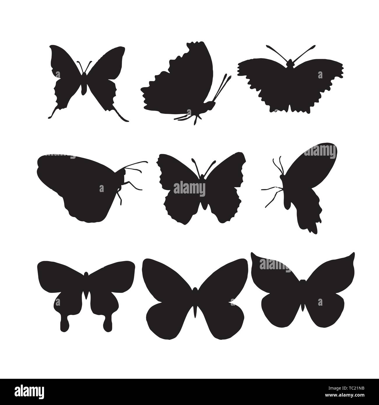 insect butterfly outline vector. nature coloring book insect butterfly ...