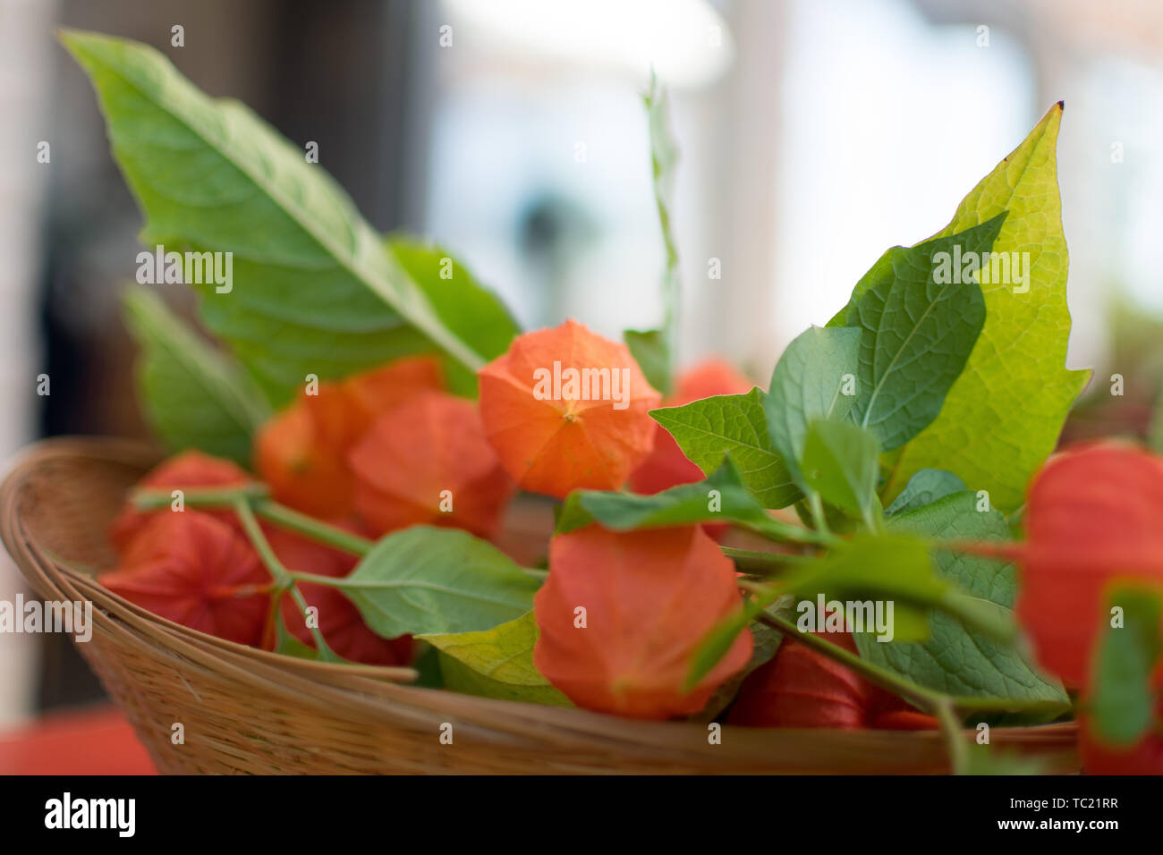 Closeup of basket with fresh physalis fruit Stock Photo - Alamy