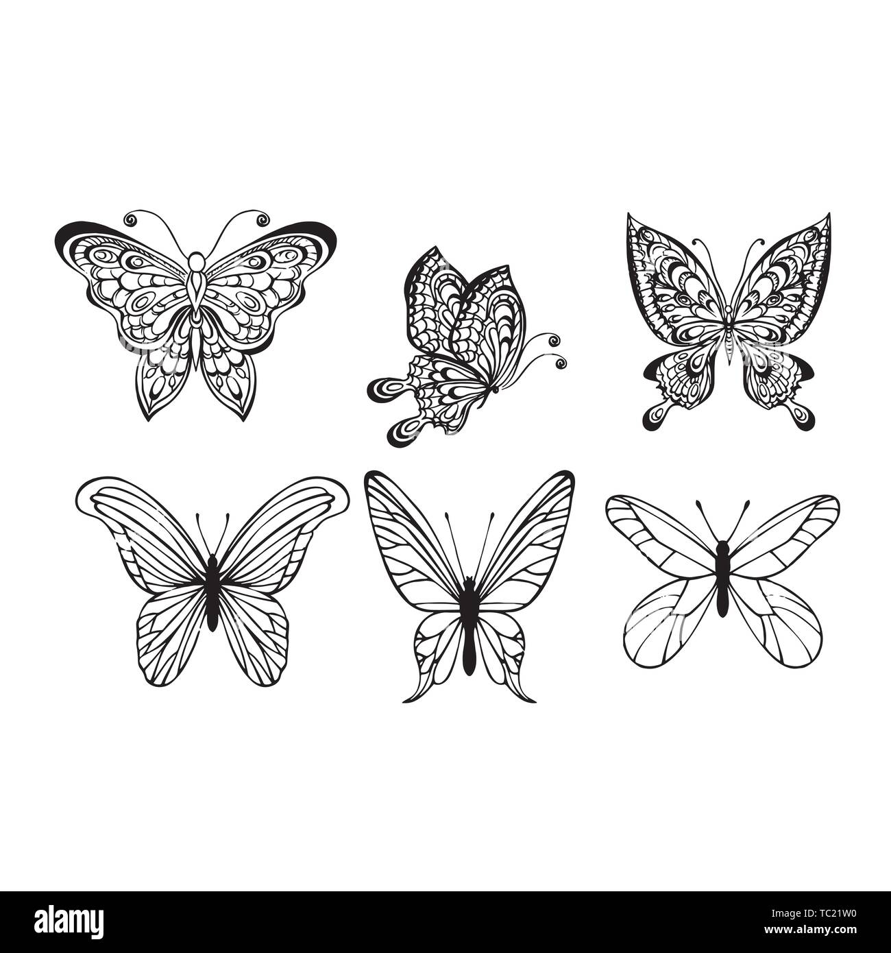 insect butterfly outline vector. nature coloring book insect butterfly ...