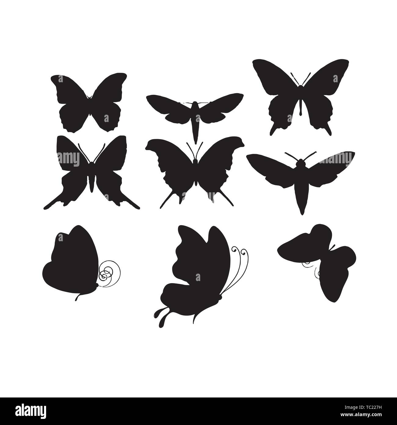 insect butterfly outline vector. nature coloring book insect butterfly ...