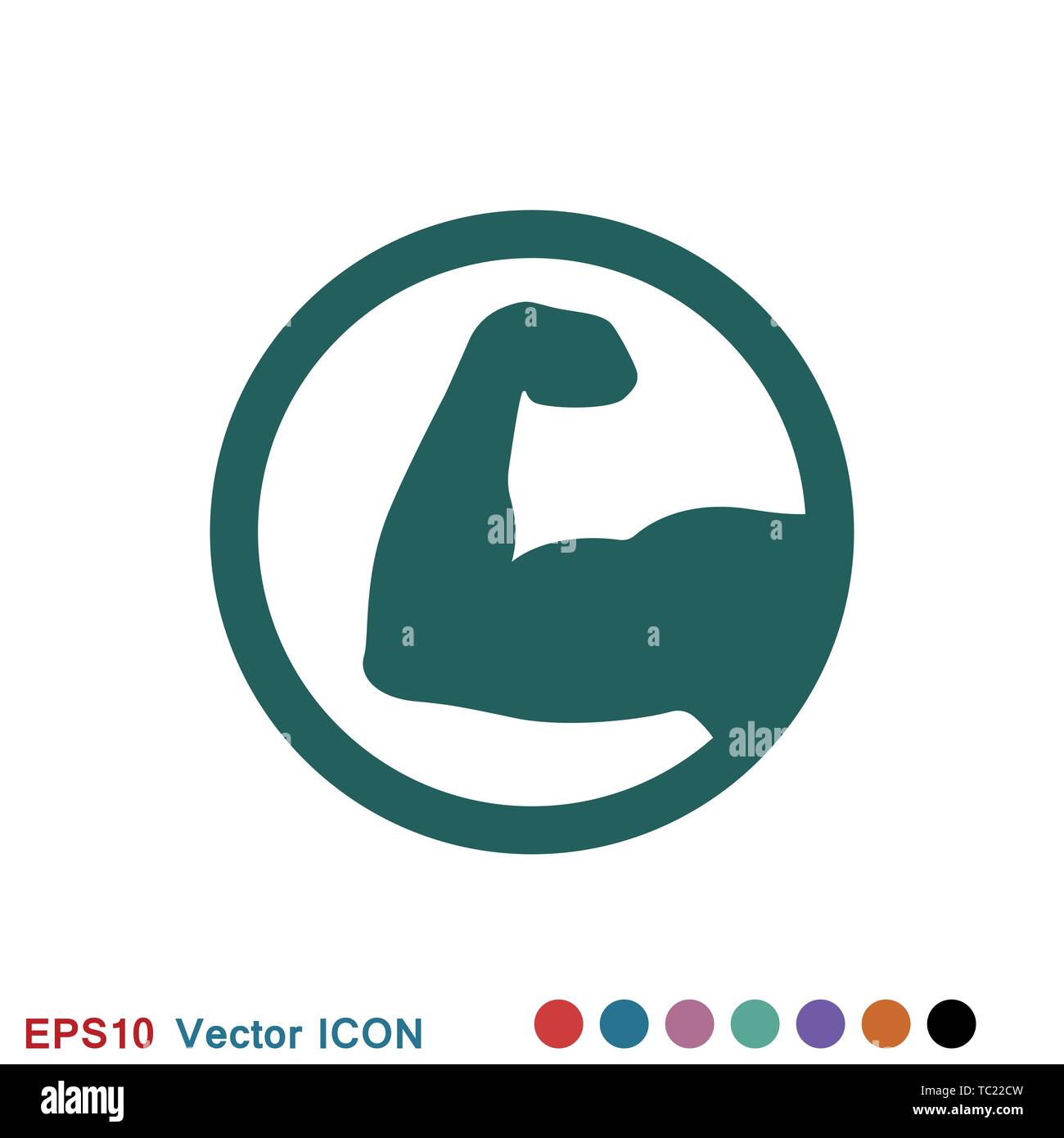 Muscle arm anatomy drawing Stock Vector Images - Alamy