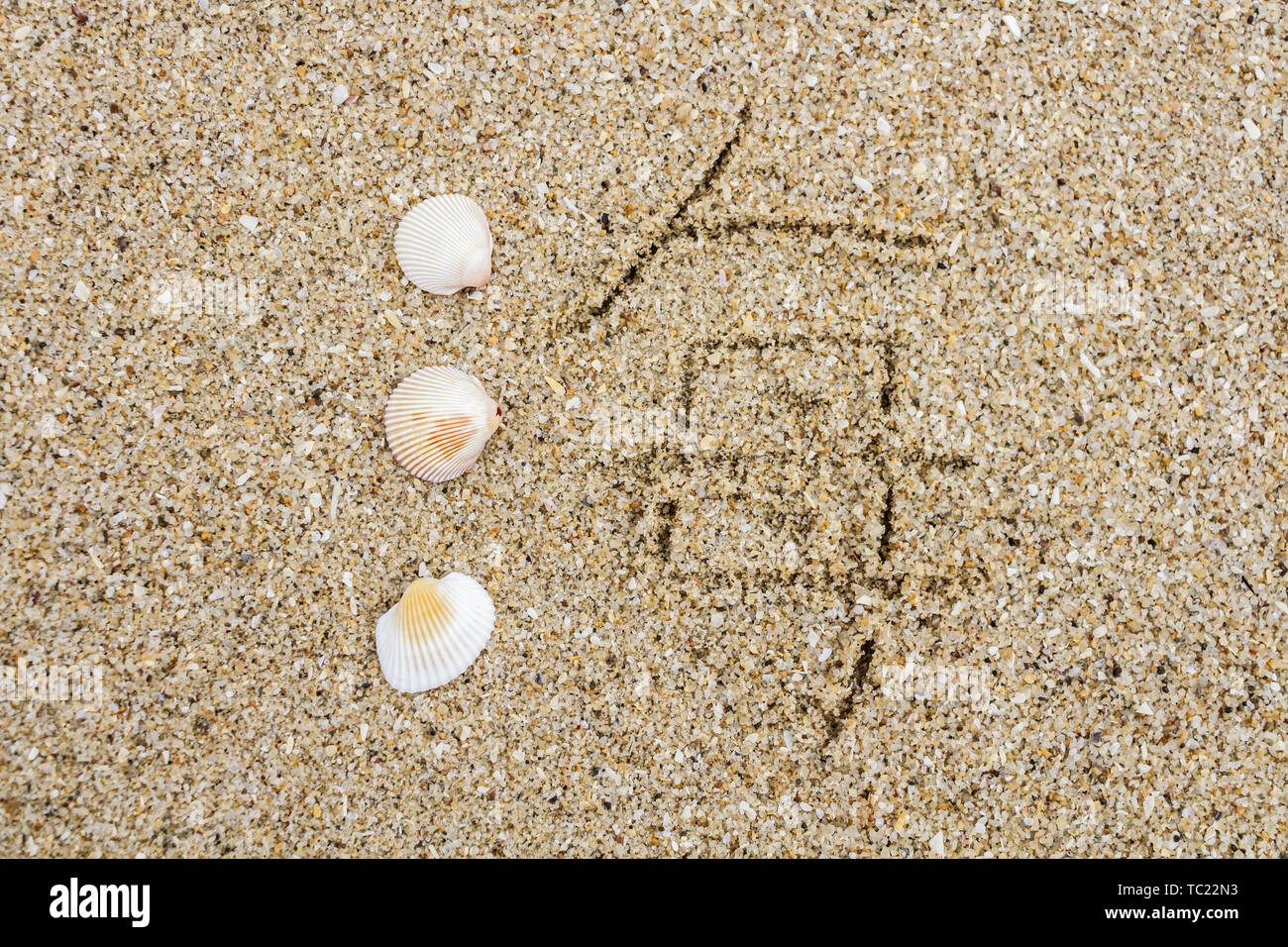 The three shells are spelled by the side of Chinese characters — the ...