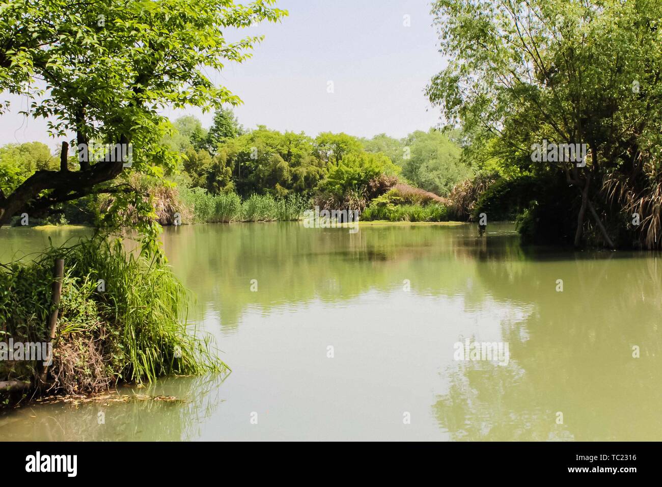 Scenery of Xixi Wetland Park in Hangzhou Stock Photo - Alamy
