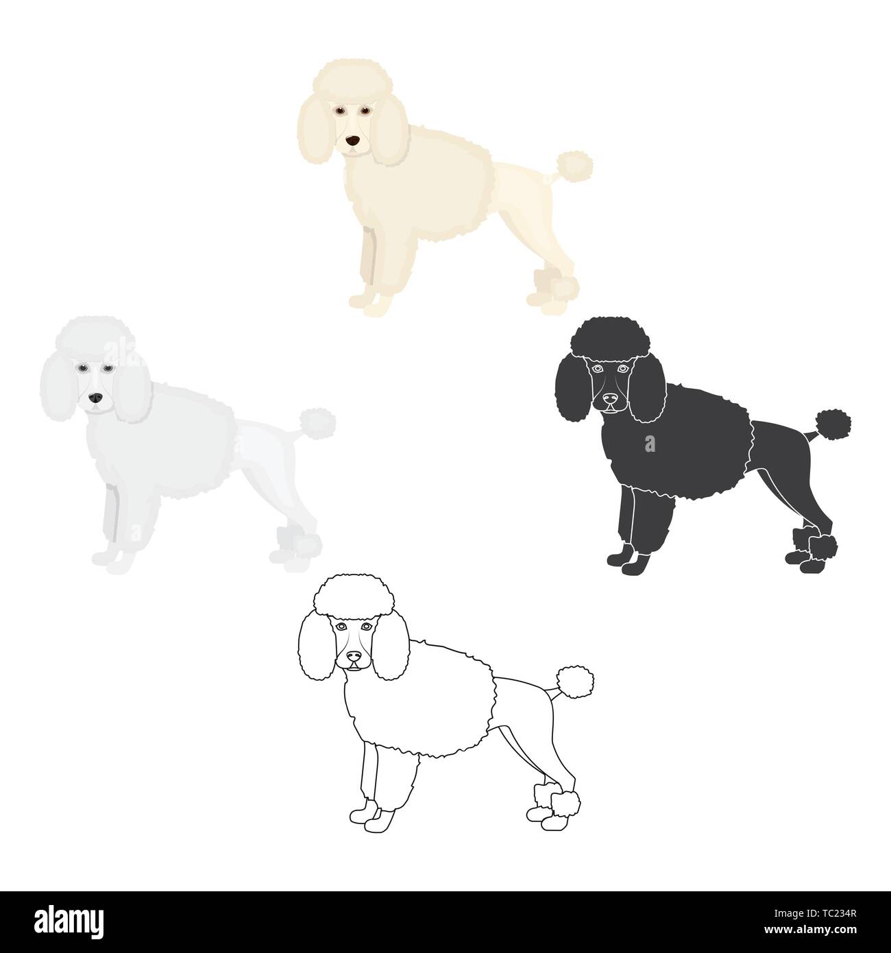 Poodle, single icon in cartoon,black style.Poodle, vector symbol stock ...