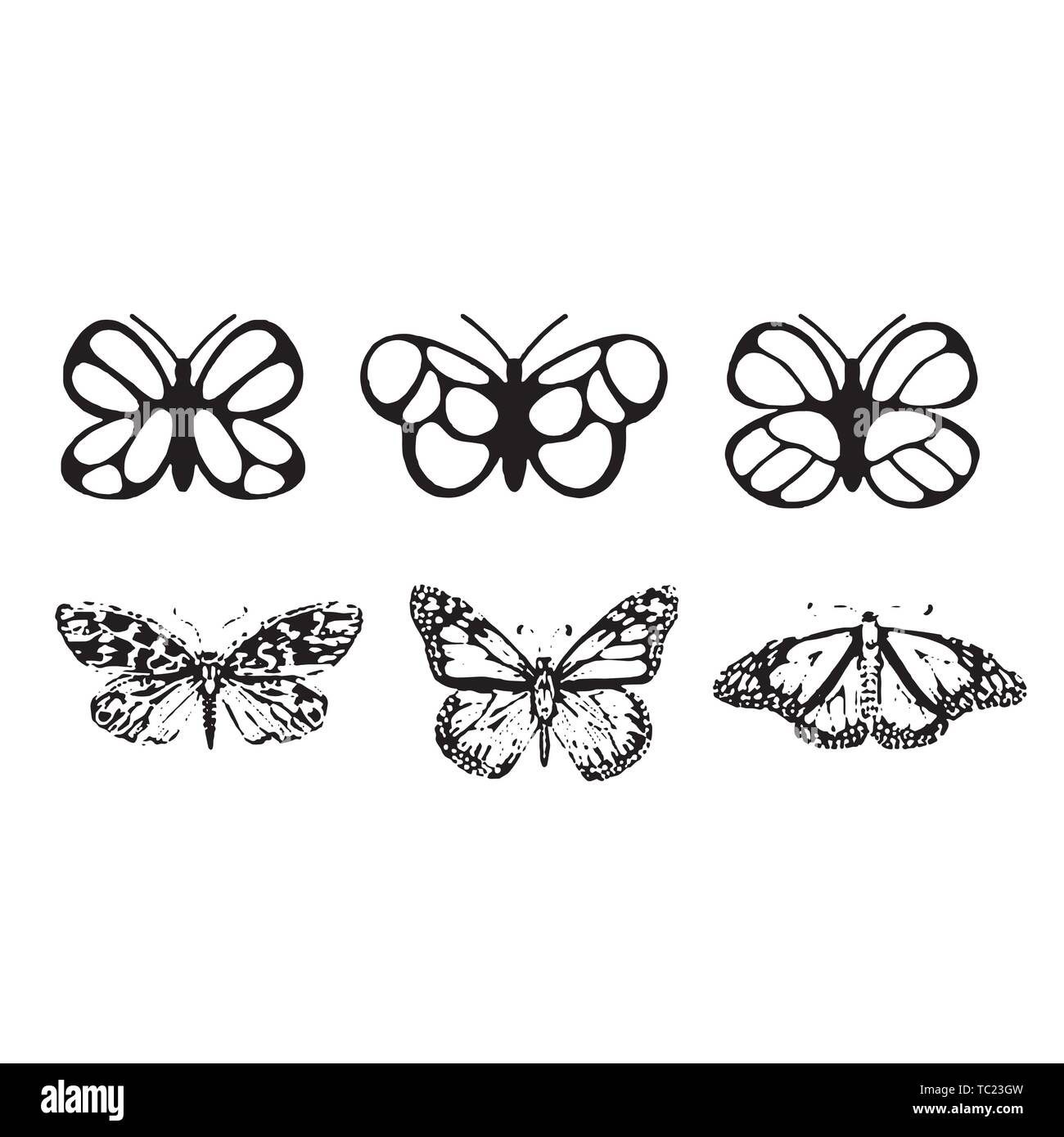 insect butterfly outline vector. nature coloring book insect butterfly ...