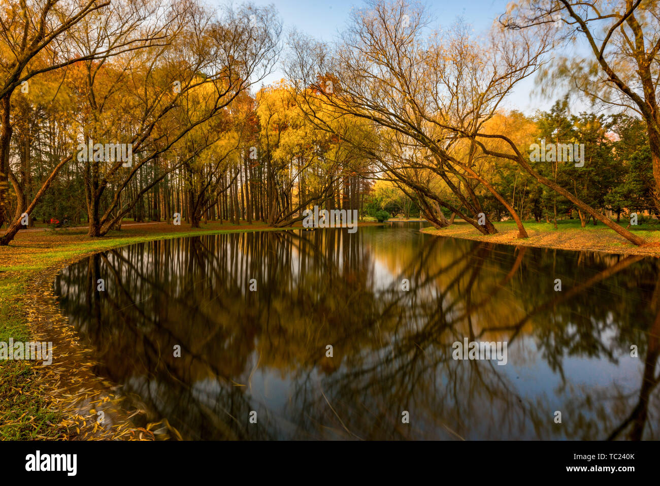 Shanghai gongqing forest park hi-res stock photography and images - Alamy