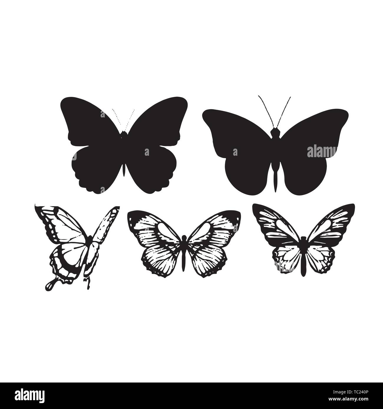 insect butterfly outline vector. nature coloring book insect butterfly ...