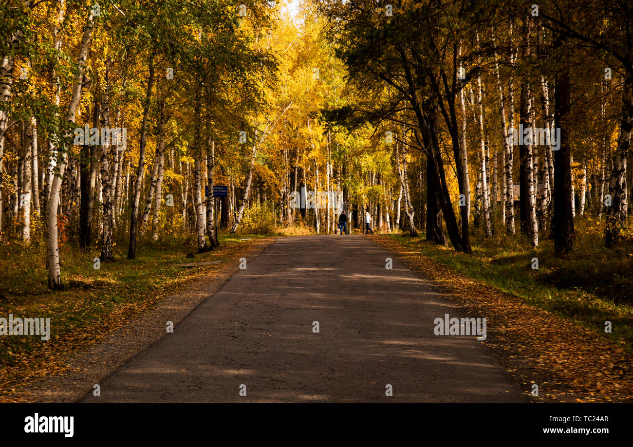 The autumn of Siberia Stock Photo - Alamy