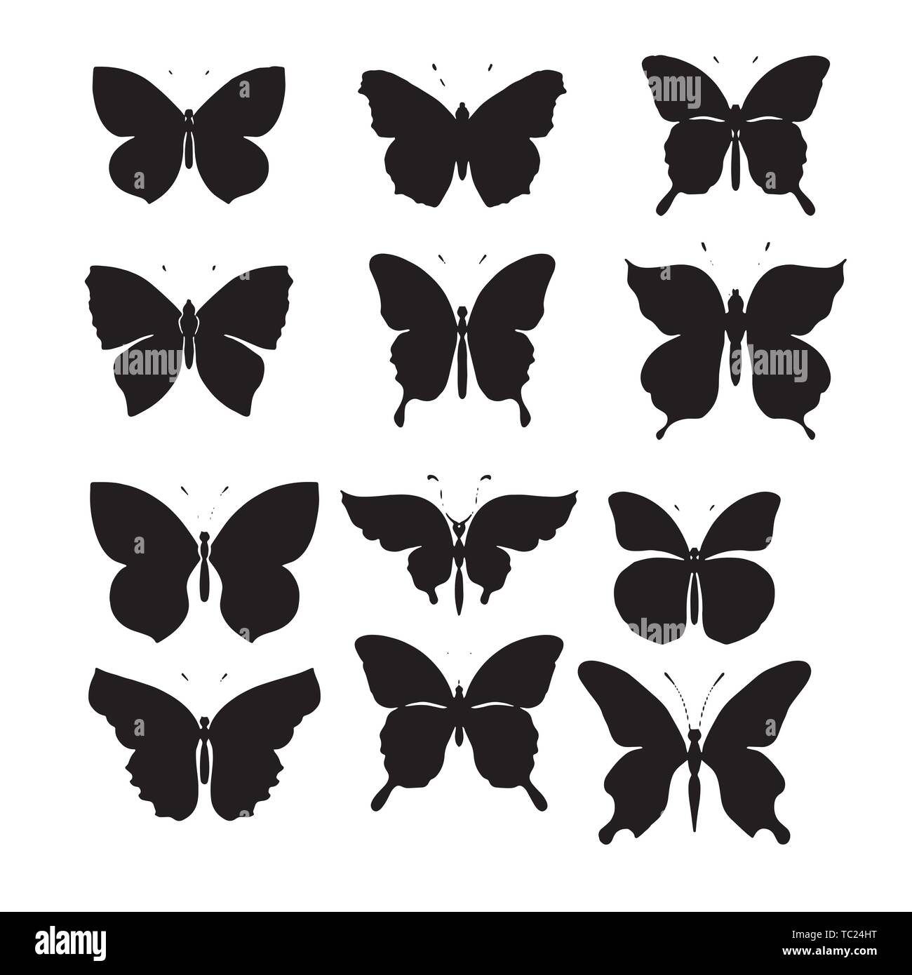 insect butterfly outline vector. nature coloring book insect butterfly ...