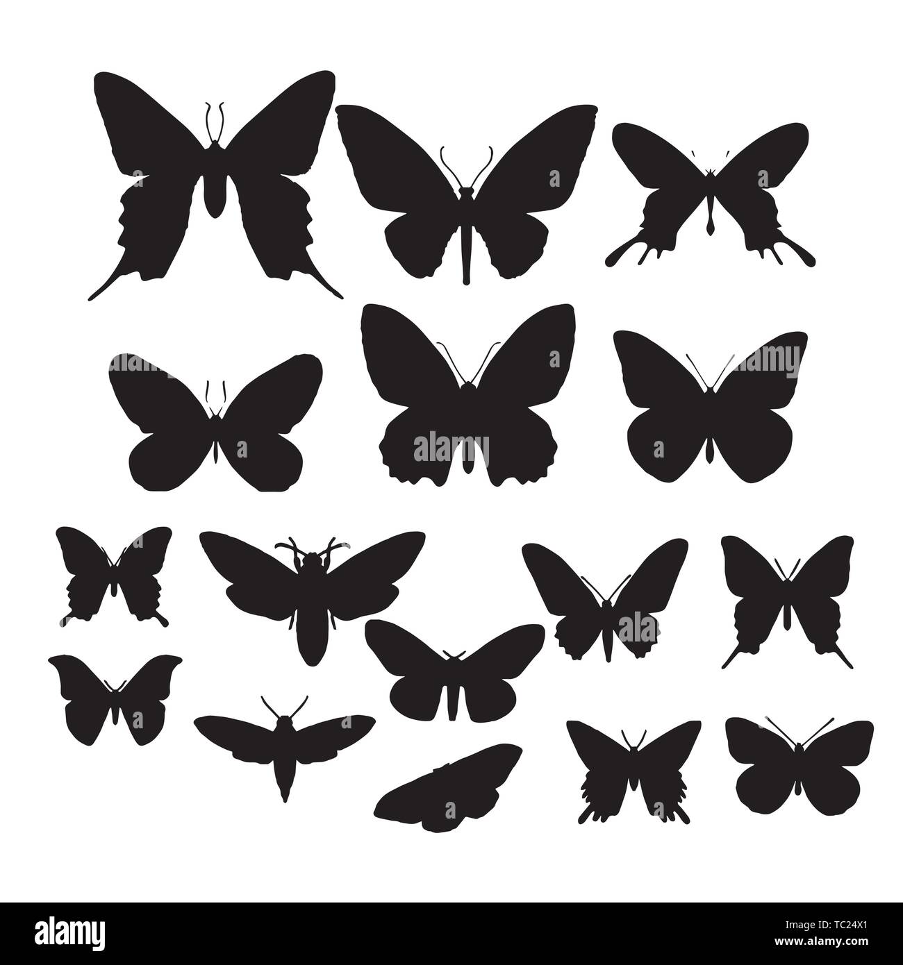 insect butterfly outline vector. nature coloring book insect butterfly ...