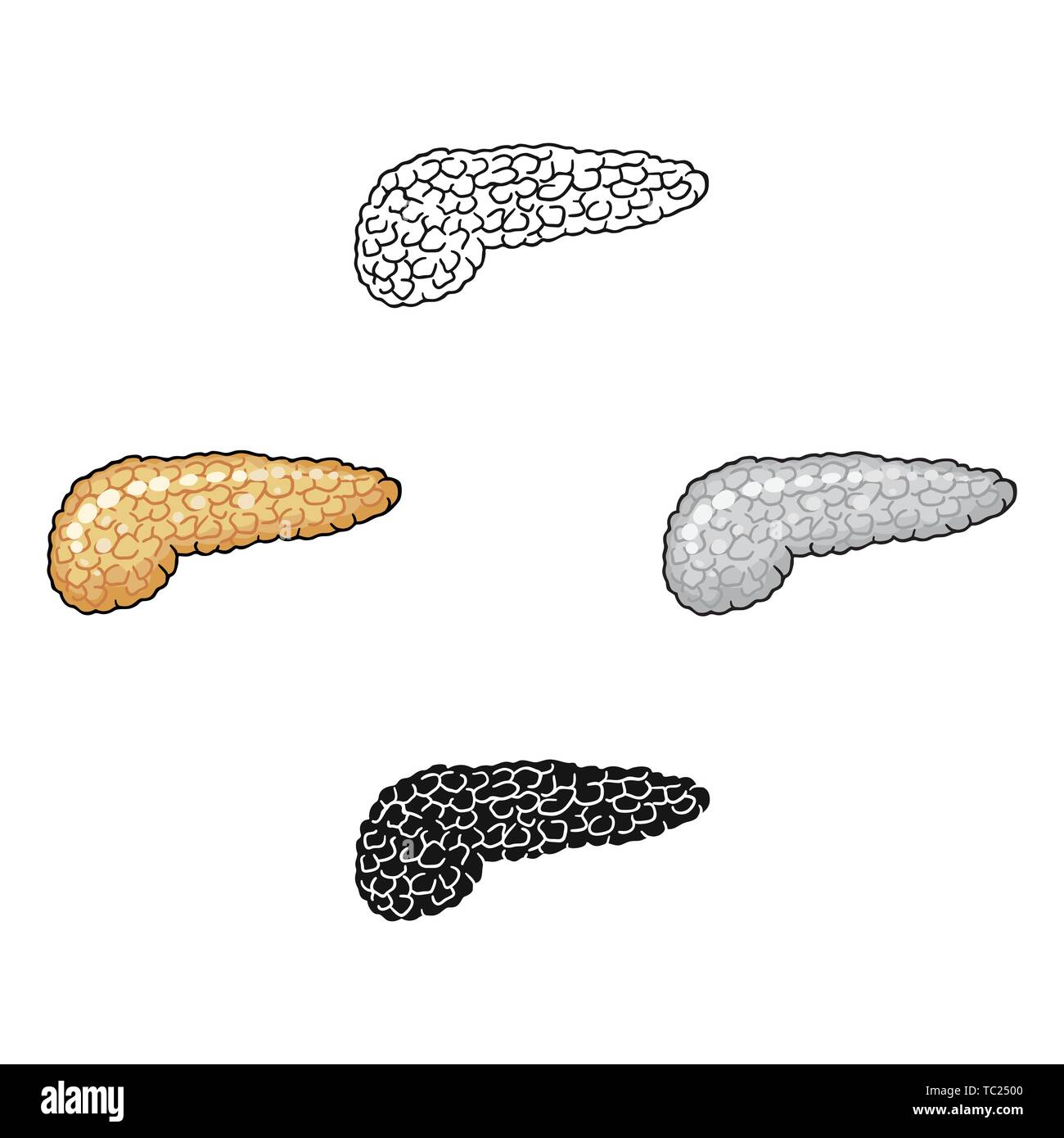 Human pancreas icon in cartoon,black style isolated on white background ...