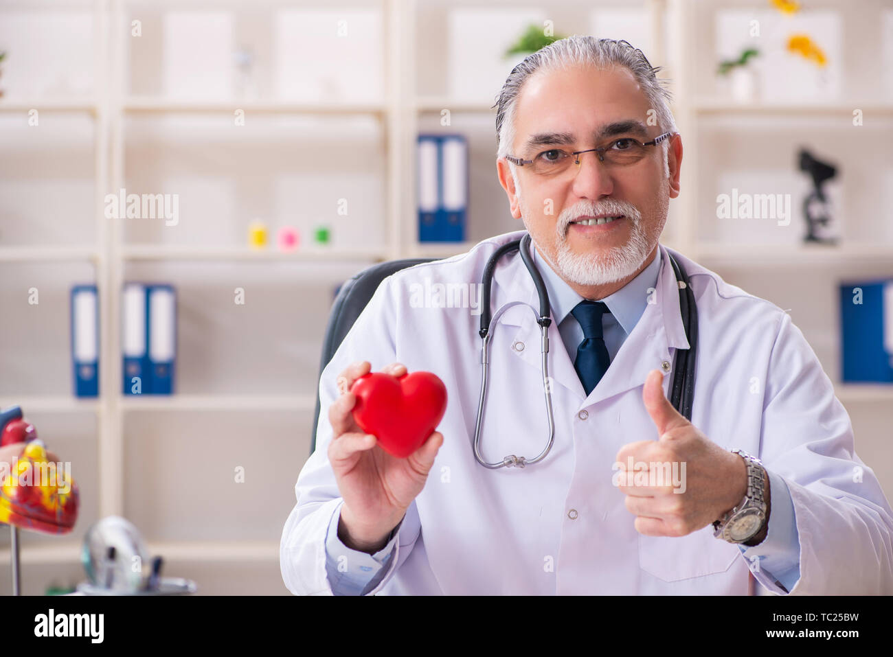 Aged male doctor cardiologist with heart model Stock Photo - Alamy