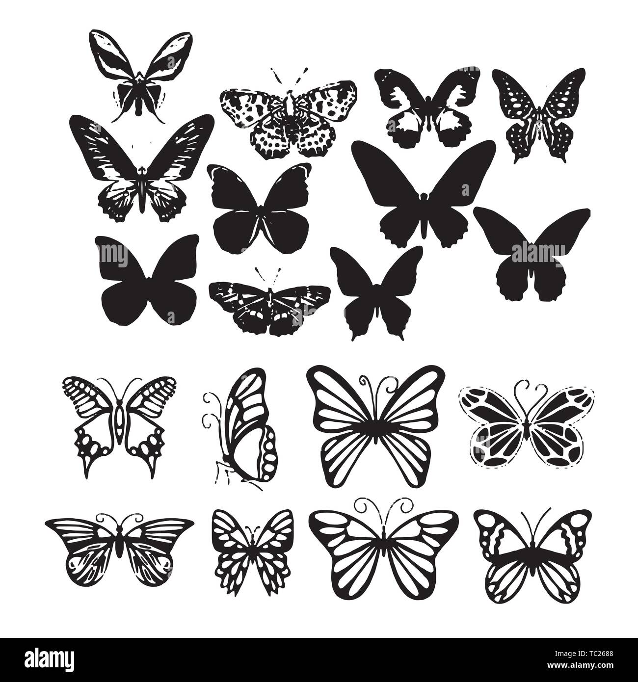 insect butterfly outline vector. nature coloring book insect butterfly ...
