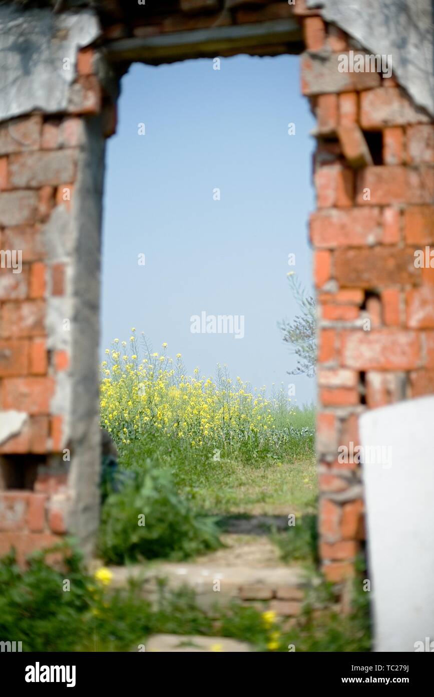 Fanhua hi-res stock photography and images - Alamy
