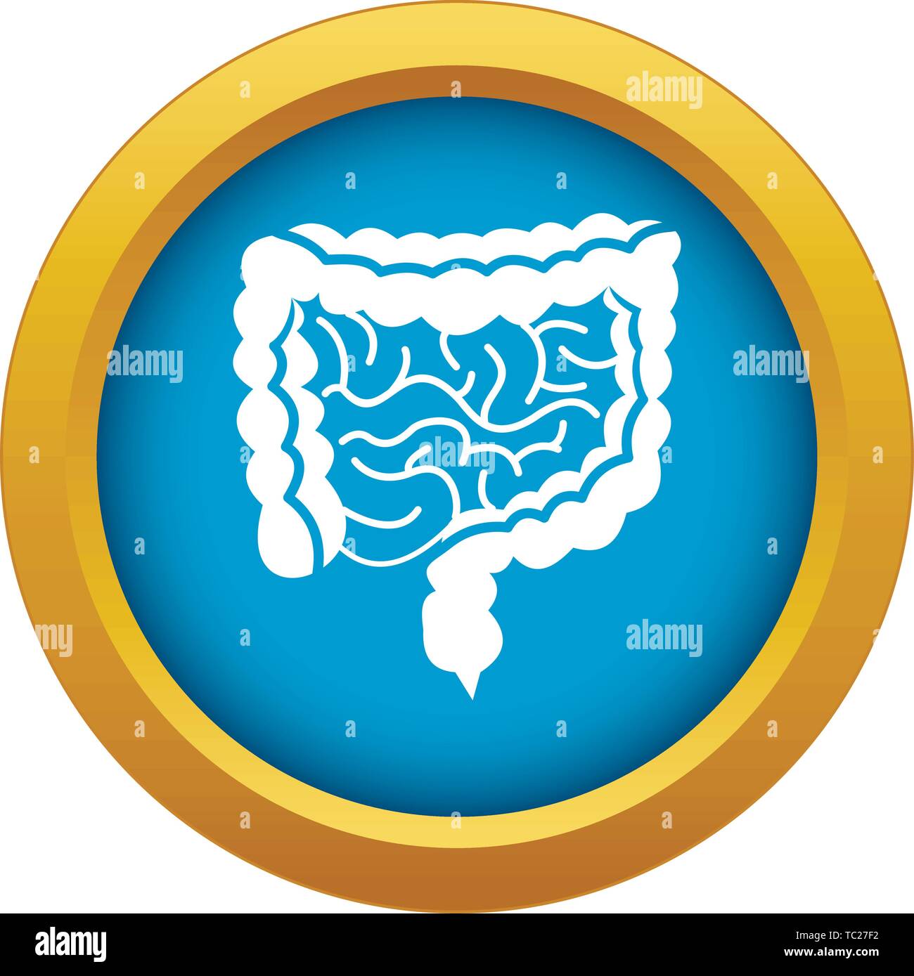 Blue intestines Stock Vector Images - Alamy