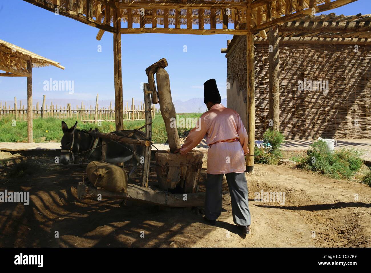 Oil extraction, ancient oil extraction technology Stock Photo - Alamy
