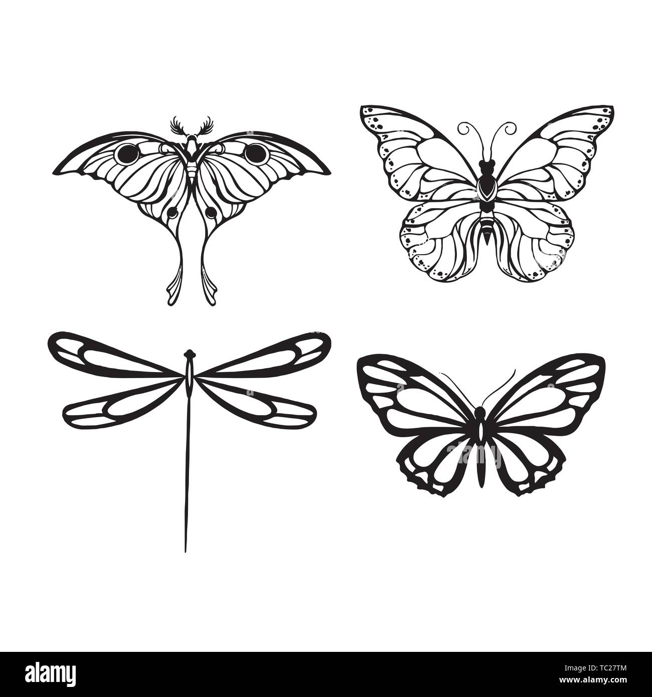 insect butterfly outline vector. nature coloring book insect butterfly ...