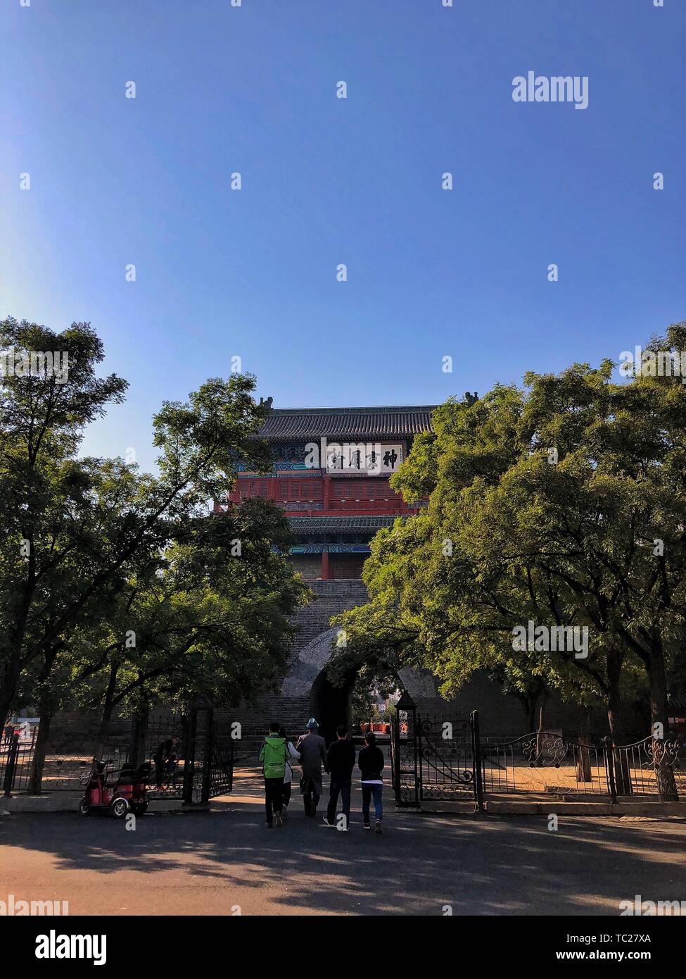 Exquisite structure hi-res stock photography and images - Alamy