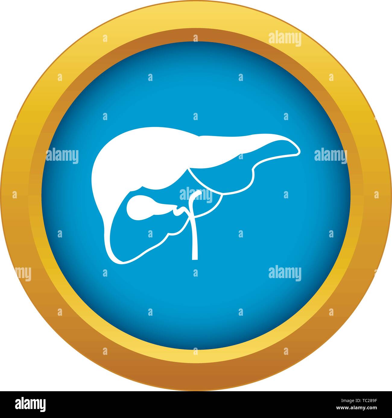 Hepatic Artery Liver High Resolution Stock Photography and Images - Alamy