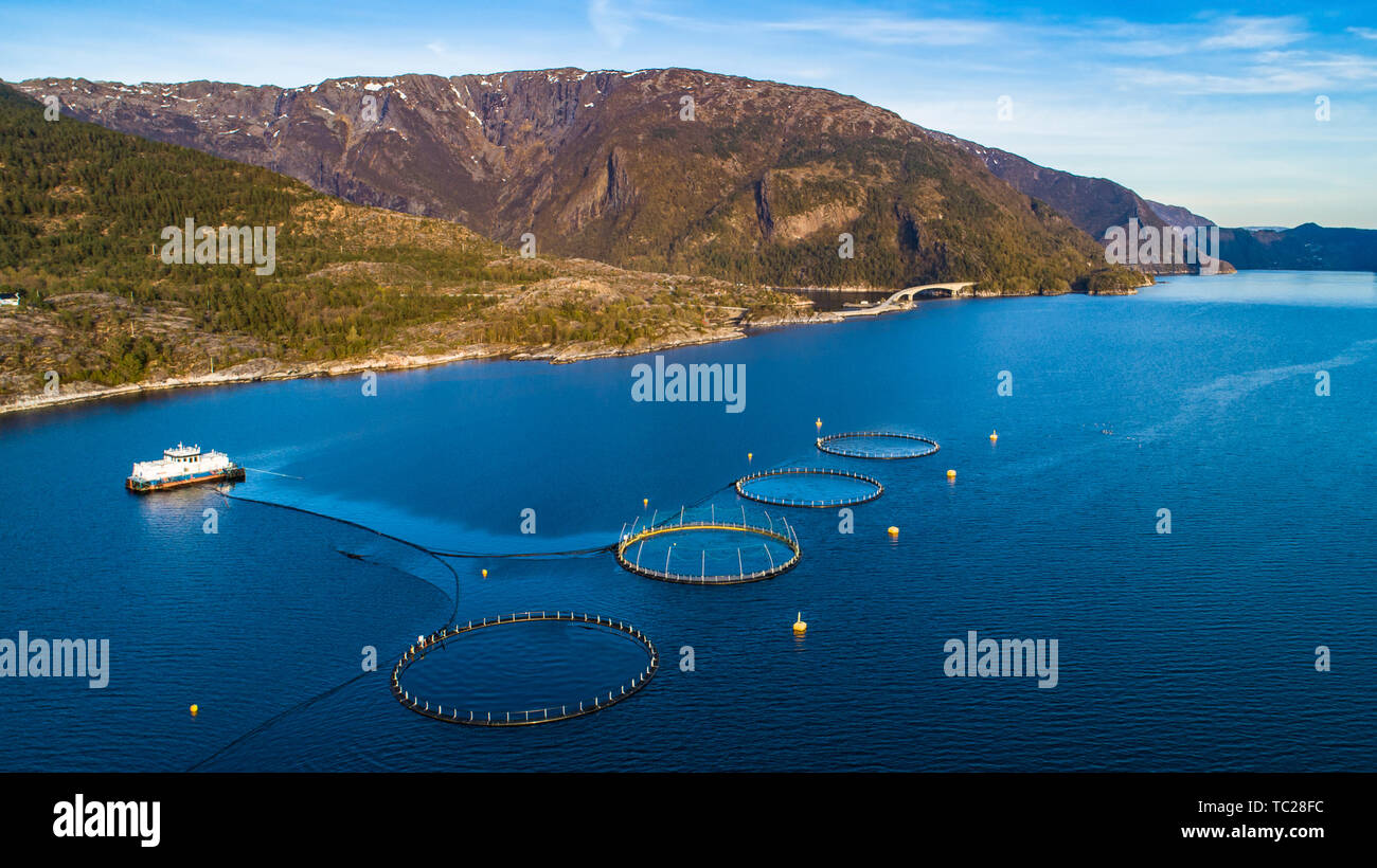 Salmon fish farm. Hordaland, Norway Stock Photo - Alamy