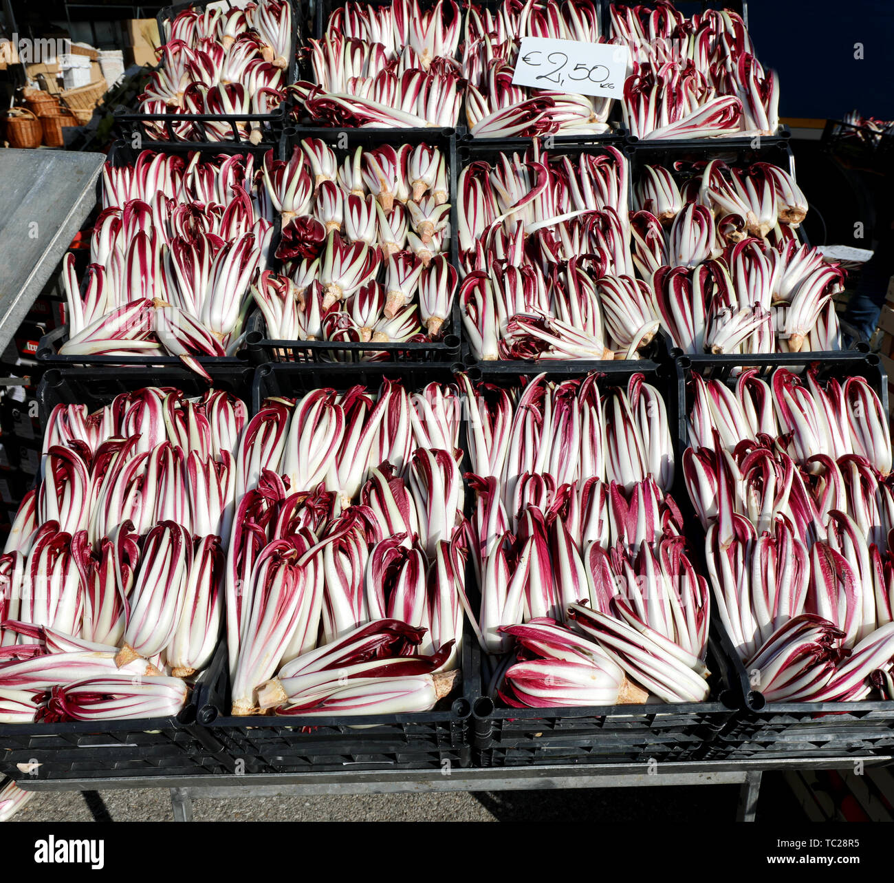 many boxes of typical purple Trevisano radicchio for sale at the fruit ...