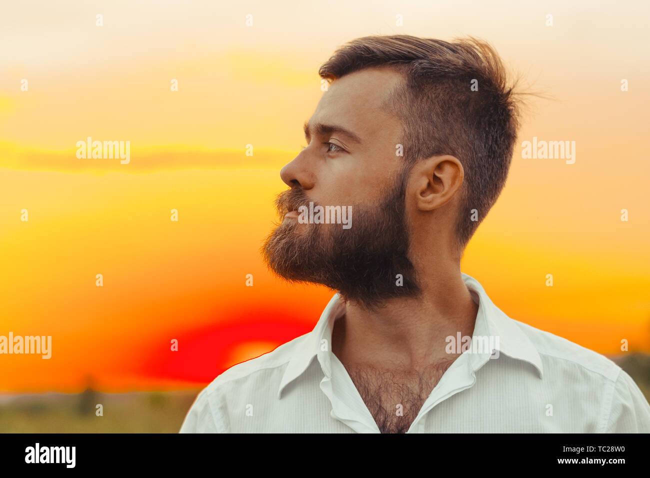 Head and shoulders of model in field hi-res stock photography and ...