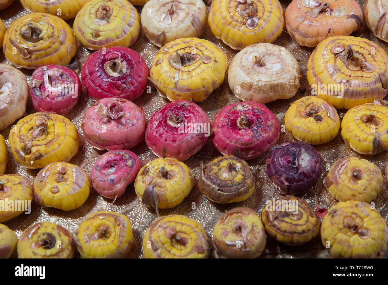 pile of natural onions with some small defects Stock Photo - Alamy