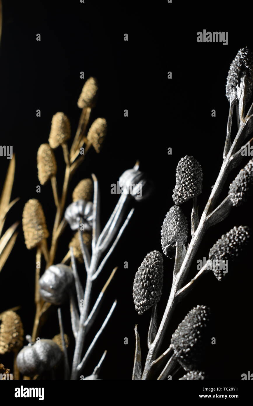 Pine flower corn hi-res stock photography and images - Alamy