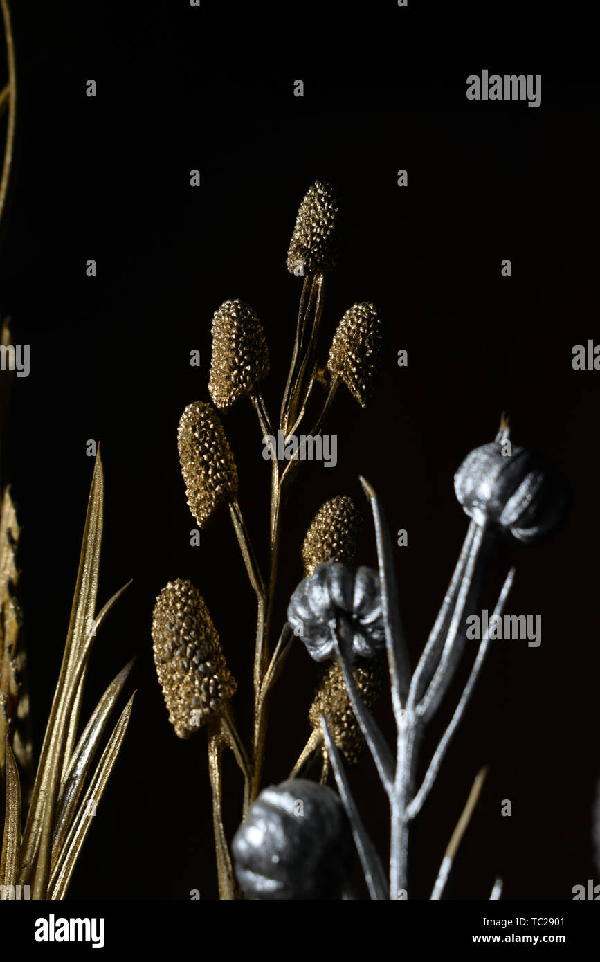 Pine flower corn hi-res stock photography and images - Alamy