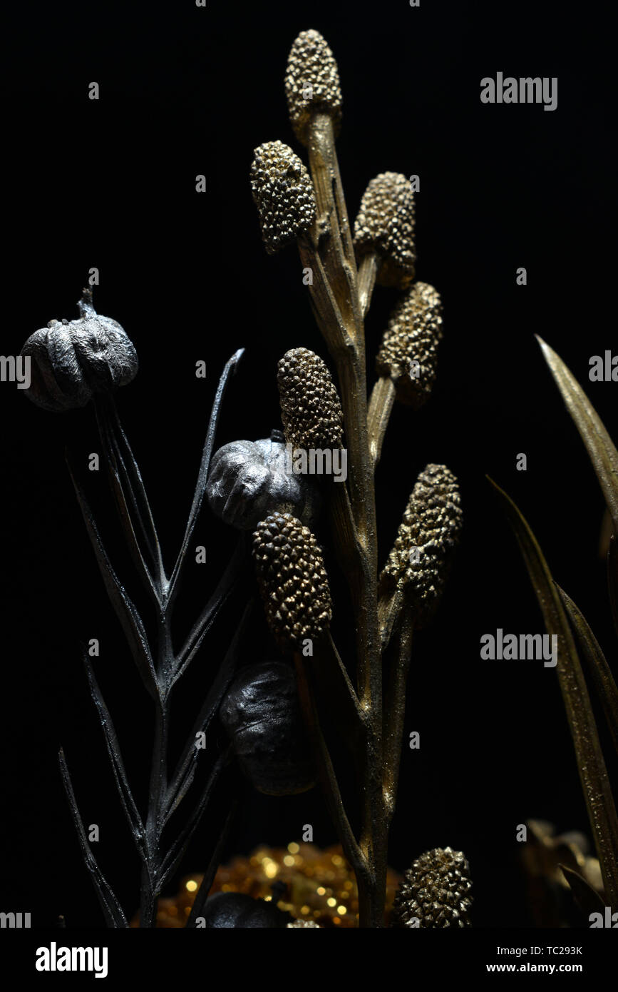Pine flower corn hi-res stock photography and images - Alamy